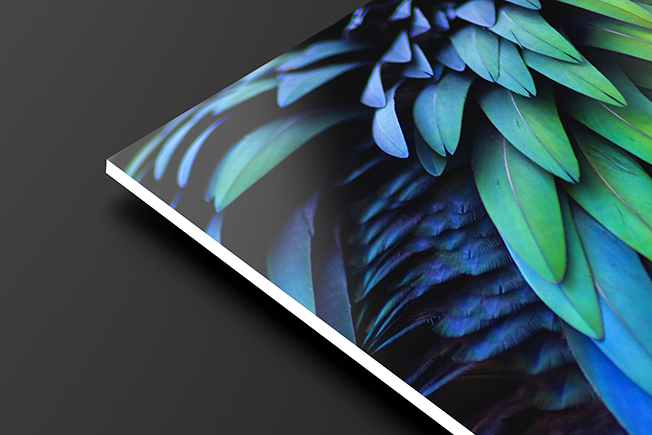 Tirage photo PVC : Impression photo sur support PVC / Forex - LaboPhotos