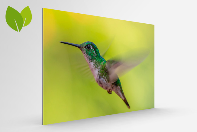 Tirage photo PVC recyclé : Impression photo support PVC - LaboPhotos